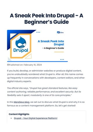 A Sneak Peek Into Drupal - A Beginner’s Guide.pdf