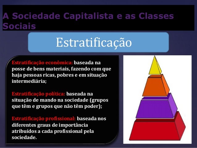 A Sociedade Capitalista e as Classes Sociais