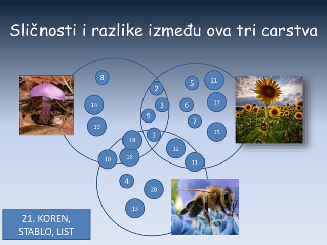Osnovne razlike između gljiva, biljaka i životinja | PPTX