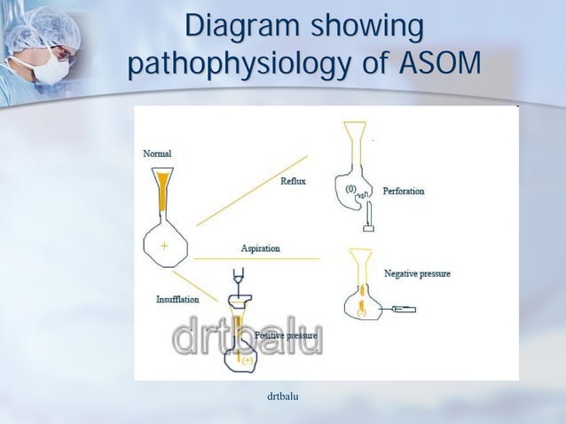 Asom | PDF