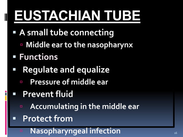 Acute Otitis Media | PPTX | Ear, Nose and Throat Conditions | Diseases ...
