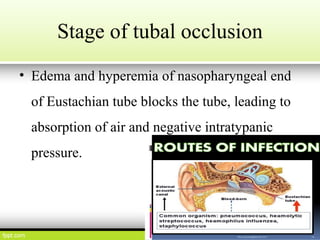 Asom | PPT