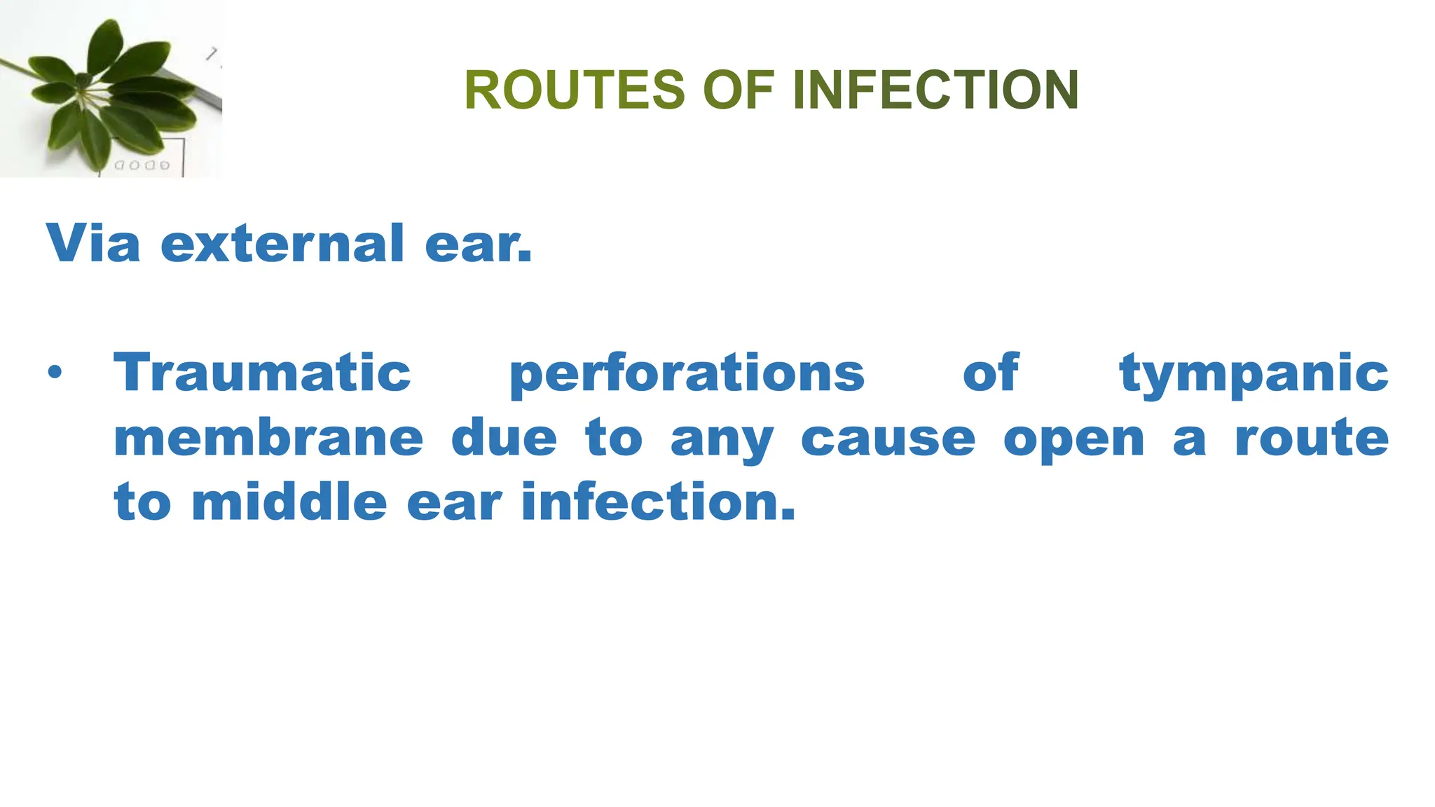ASOM.pptx | Ear, Nose and Throat Conditions | Diseases and Conditions