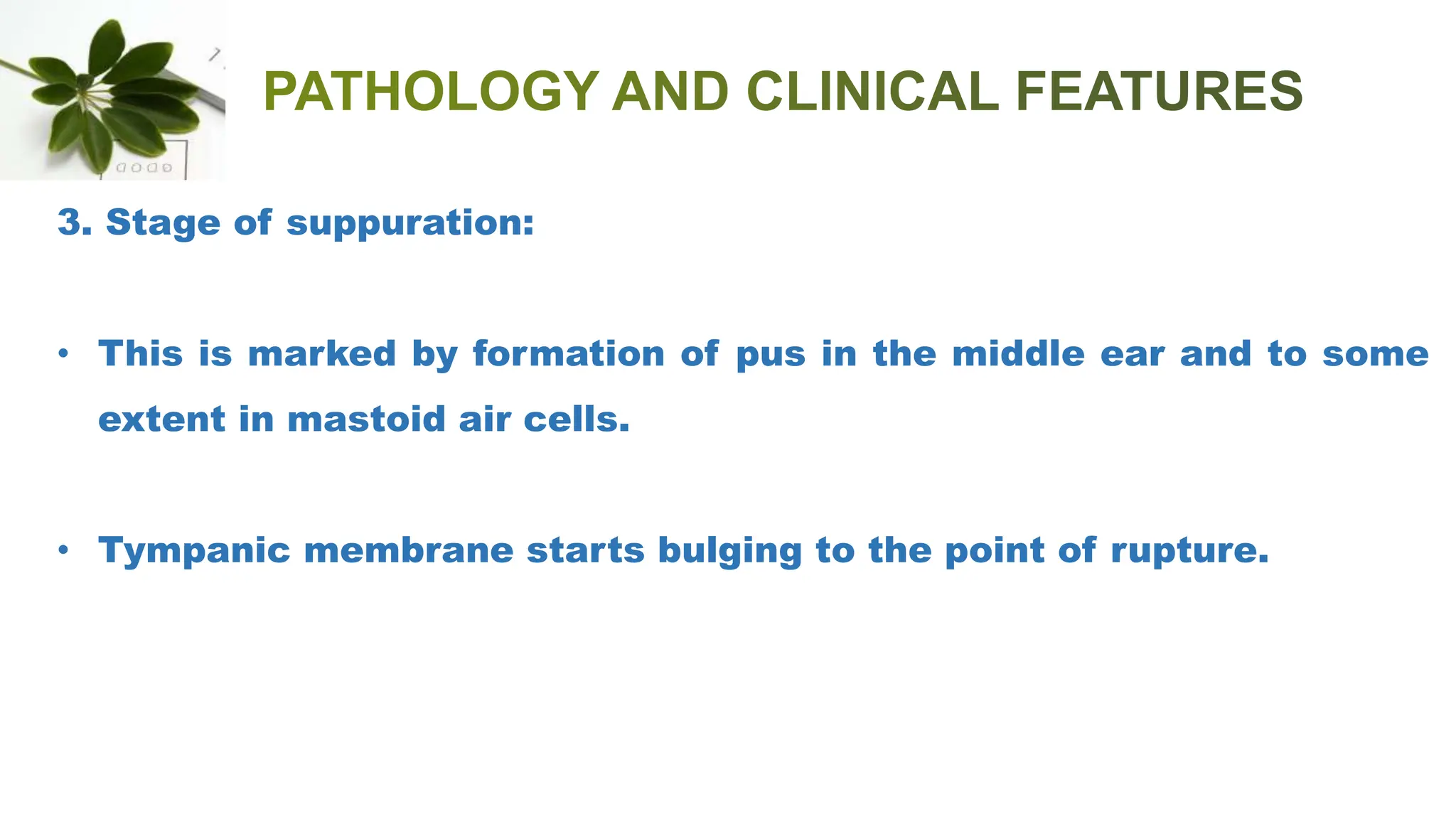 ASOM.pptx | Ear, Nose and Throat Conditions | Diseases and Conditions