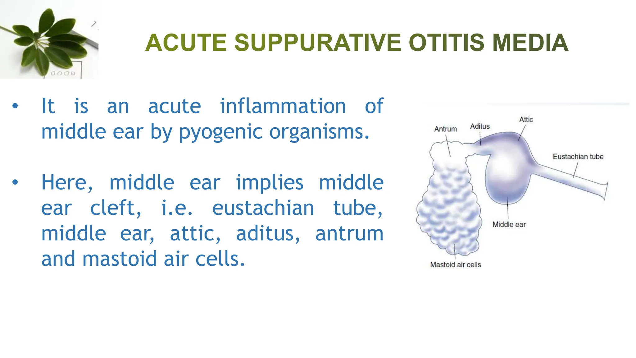 ASOM.pptx | Ear, Nose and Throat Conditions | Diseases and Conditions