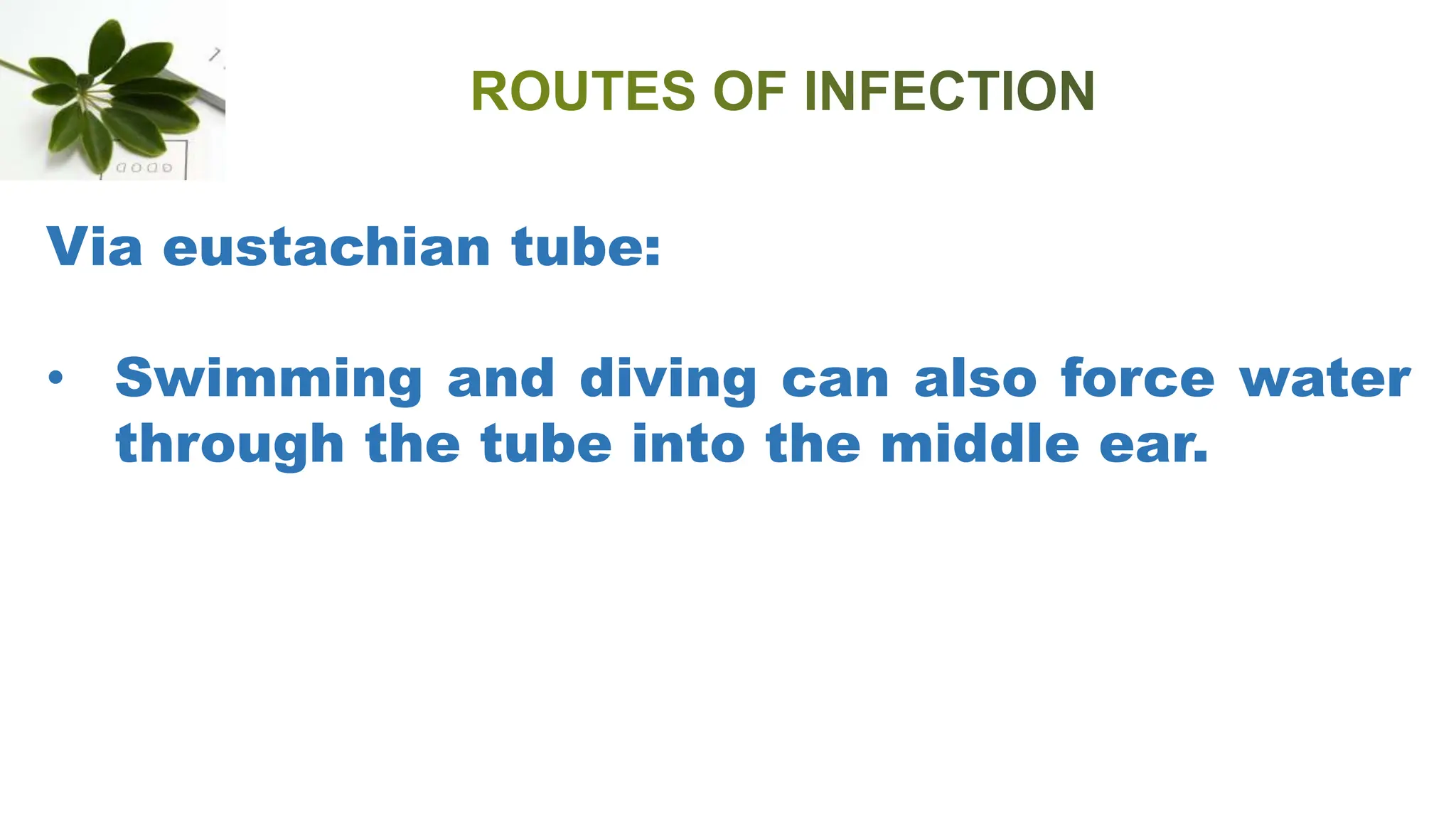 ASOM.pptx | Ear, Nose and Throat Conditions | Diseases and Conditions