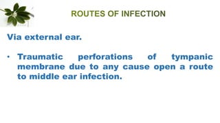 ASOM.pptx | Ear, Nose and Throat Conditions | Diseases and Conditions