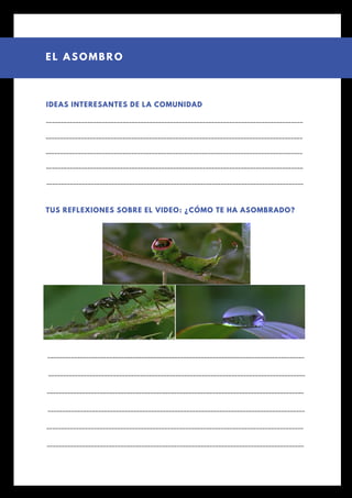 Asombro y naturaleza cuaderno | PDF