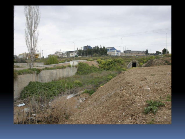 Asopos tragedy | PPT