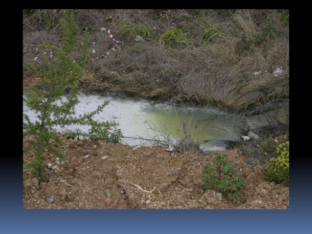 Asopos tragedy | PPT