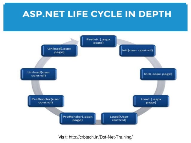 Life Cycle In Depth 