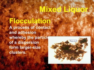 acticated sluge process | PPT