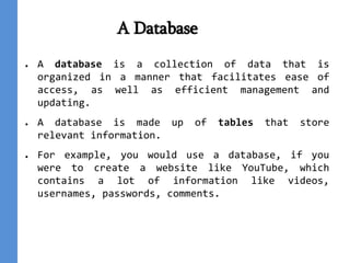 Asp .Net Database Connectivity Presentation.pptx