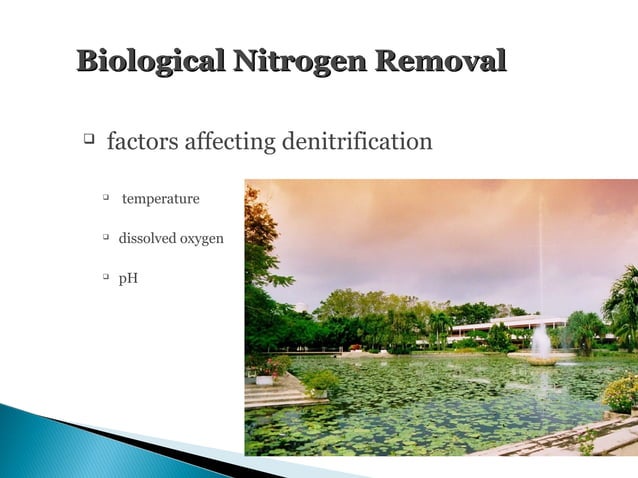 Activated Sludge Process and biological Wastewater treatment system ...