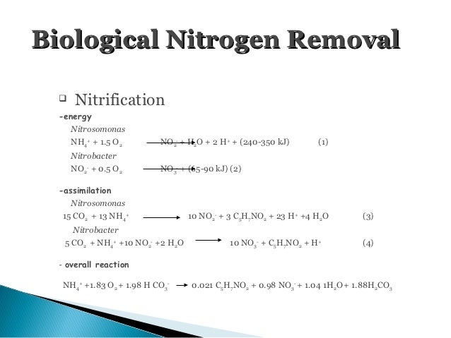 Nitrification Equation