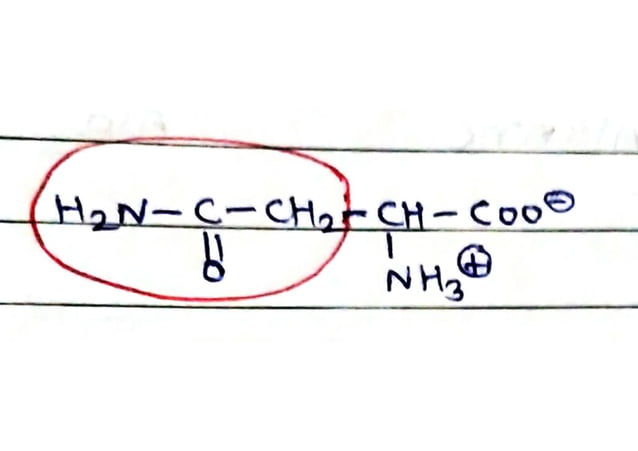 Asparagine | PDF Asparagine | PDF