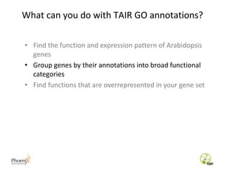 TAIR Presentation ASPB 2016 | PPTX