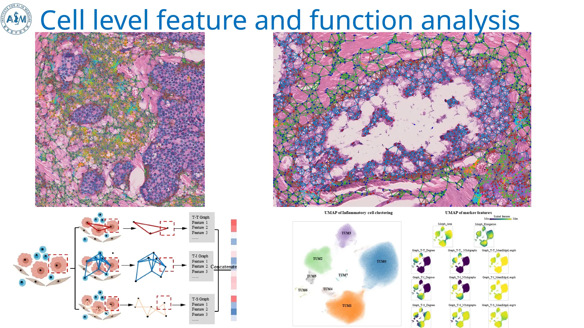 The Importance of explainable AI Digital Pathology.pptx