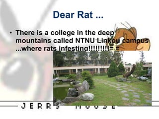 A Special Fear Rat | PPT