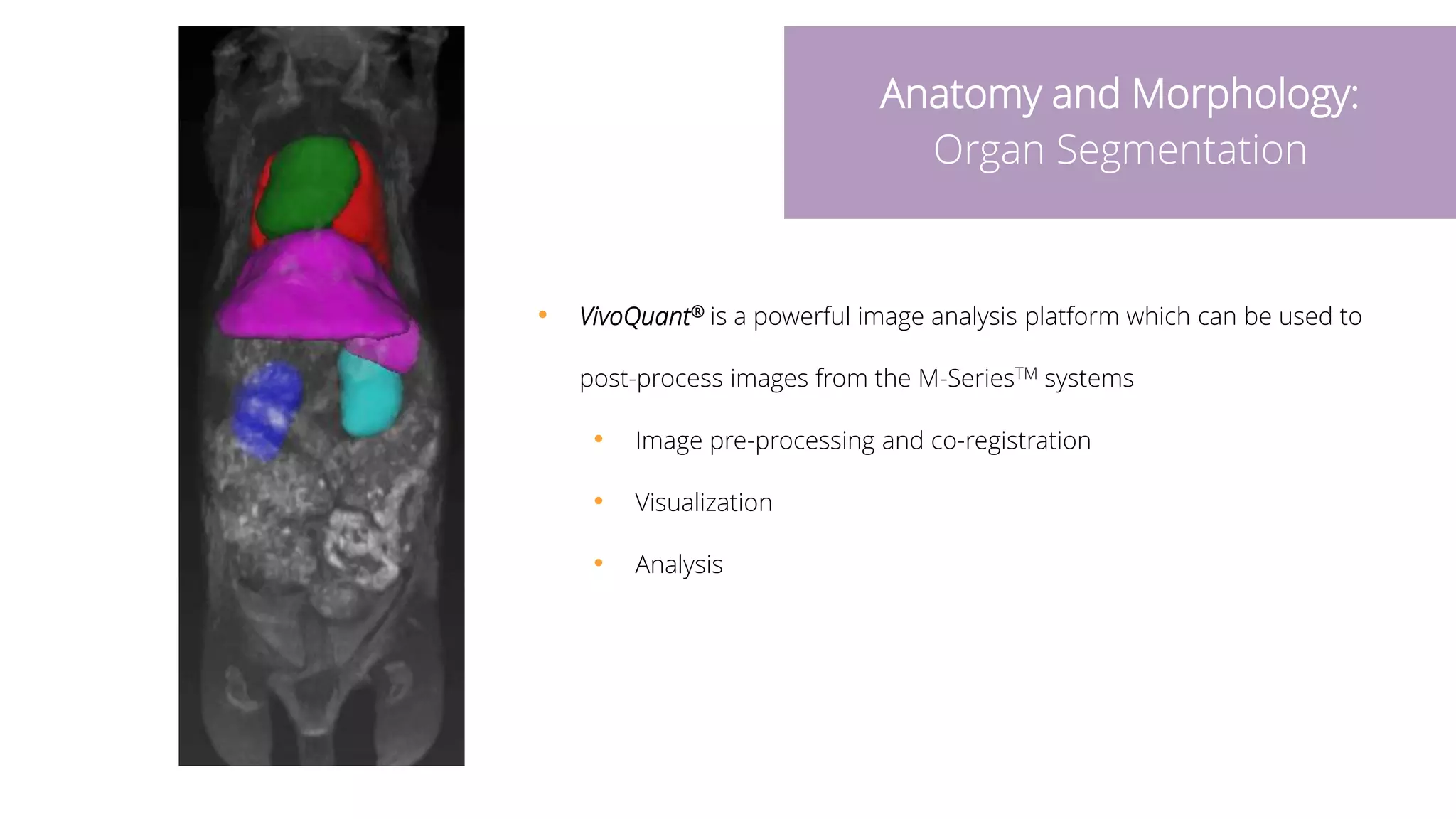 Changing how researchers think about MRI: Utilizing a simple to use ...