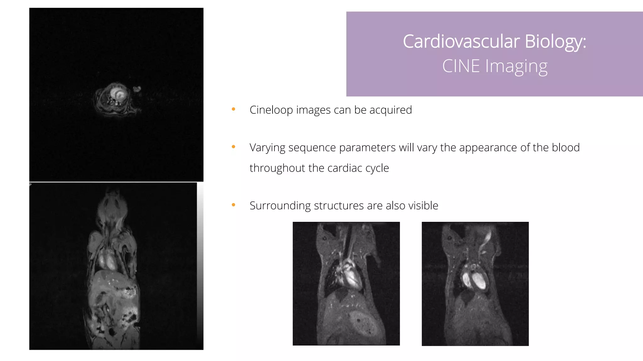Changing how researchers think about MRI: Utilizing a simple to use ...