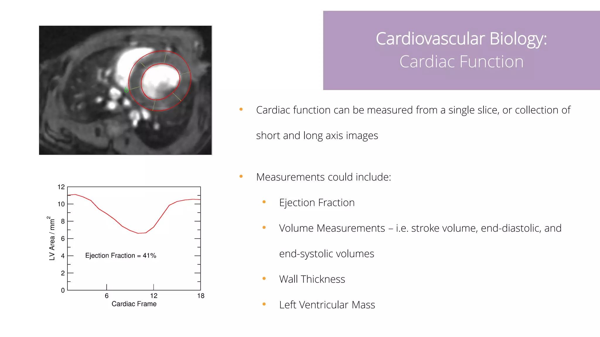 Changing how researchers think about MRI: Utilizing a simple to use ...