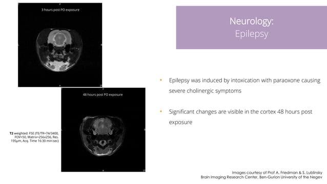 Changing how researchers think about MRI: Utilizing a simple to use ...