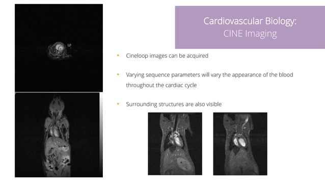 Changing how researchers think about MRI: Utilizing a simple to use ...