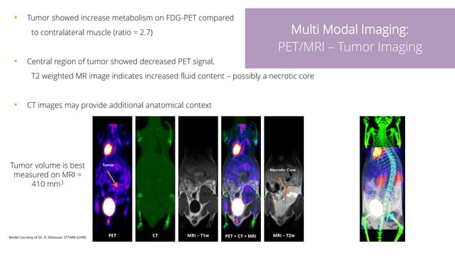 Changing how researchers think about MRI: Utilizing a simple to use ...