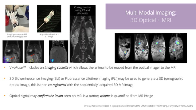 Changing how researchers think about MRI: Utilizing a simple to use ...