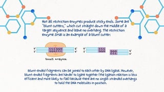 Aspect of Genetic Engineering_20240216_200211_0000.pdf