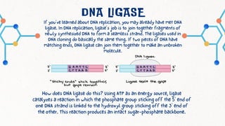 Aspect of Genetic Engineering_20240216_200211_0000.pdf