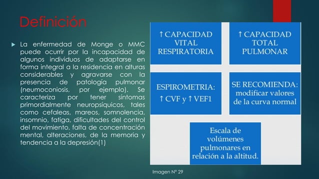 Aspectos cito moleculares de la enfermedad de monge | PPT