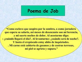 Aspectos claves de bioética. Respeto a la vida humana. | PPT