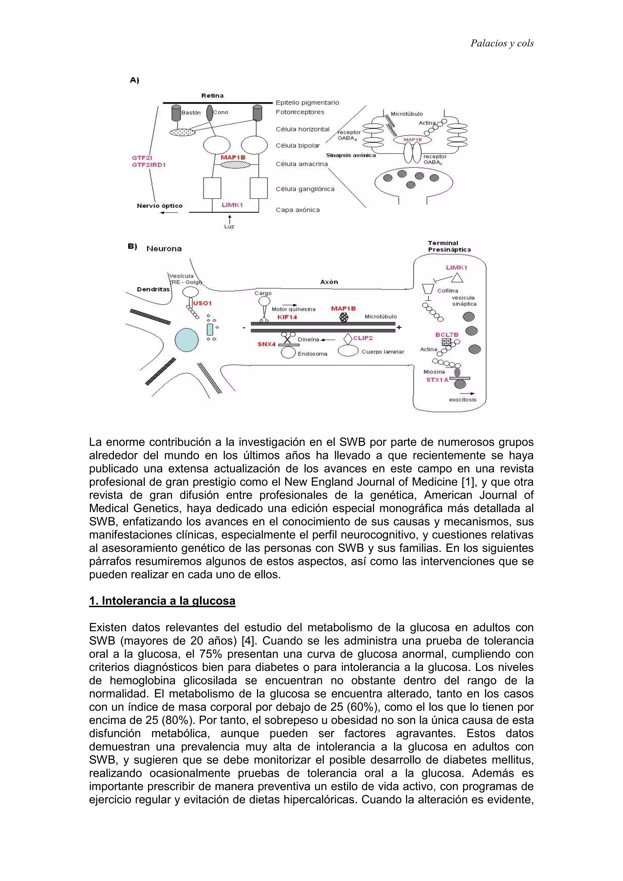 Aspectos Clínicos Y Neuroconductuales Del Síndrome De Williams Beuren Pdf