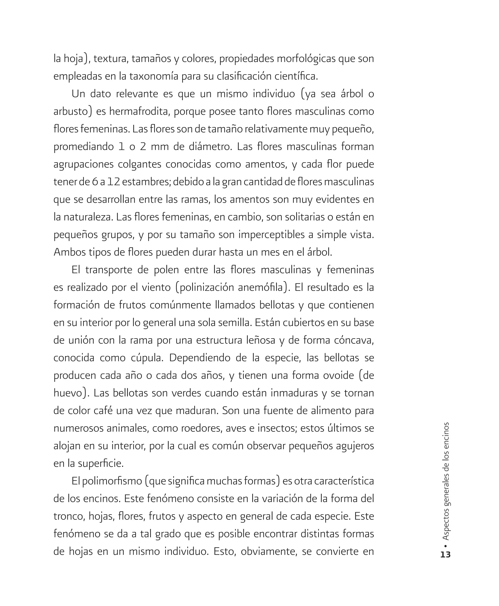 Aspectos de encinos | PDF