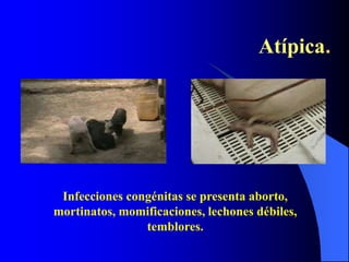 ASPECTOS EPIDEMIOLO PPC.ppt