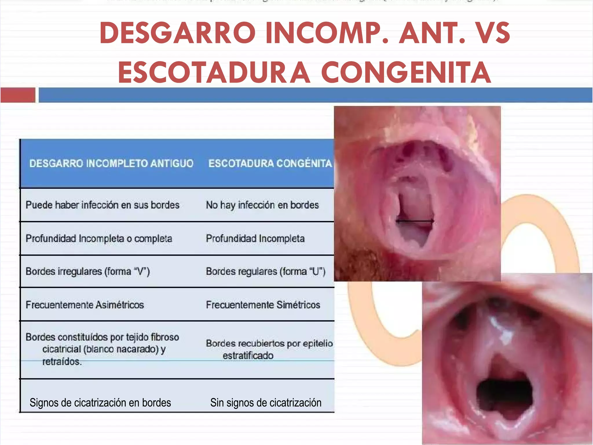 aspectos medicos del himen.pdf