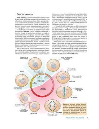Aspectos modernos da_divisao_celular_amabis | PDF