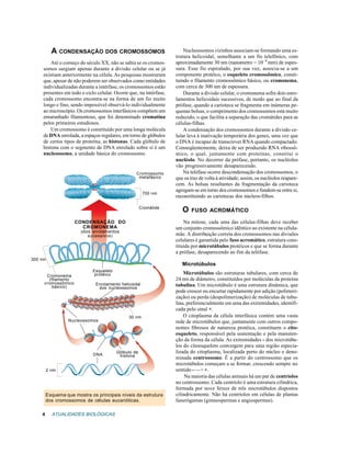 Aspectos modernos da_divisao_celular_amabis | PDF
