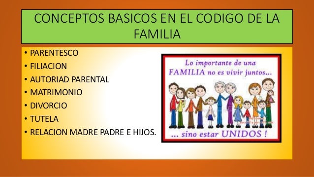 Aspectos relevantes del codigo de la familia