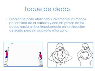 Aspectos técnicos del voleibol | PPTX