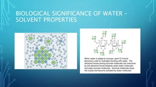 Cape Biology Unit 1 - Aspects of biochemistry.pptx