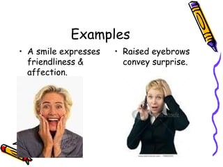 Aspects of body language ppt | PPT