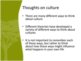 Aspects of culture | PPTX