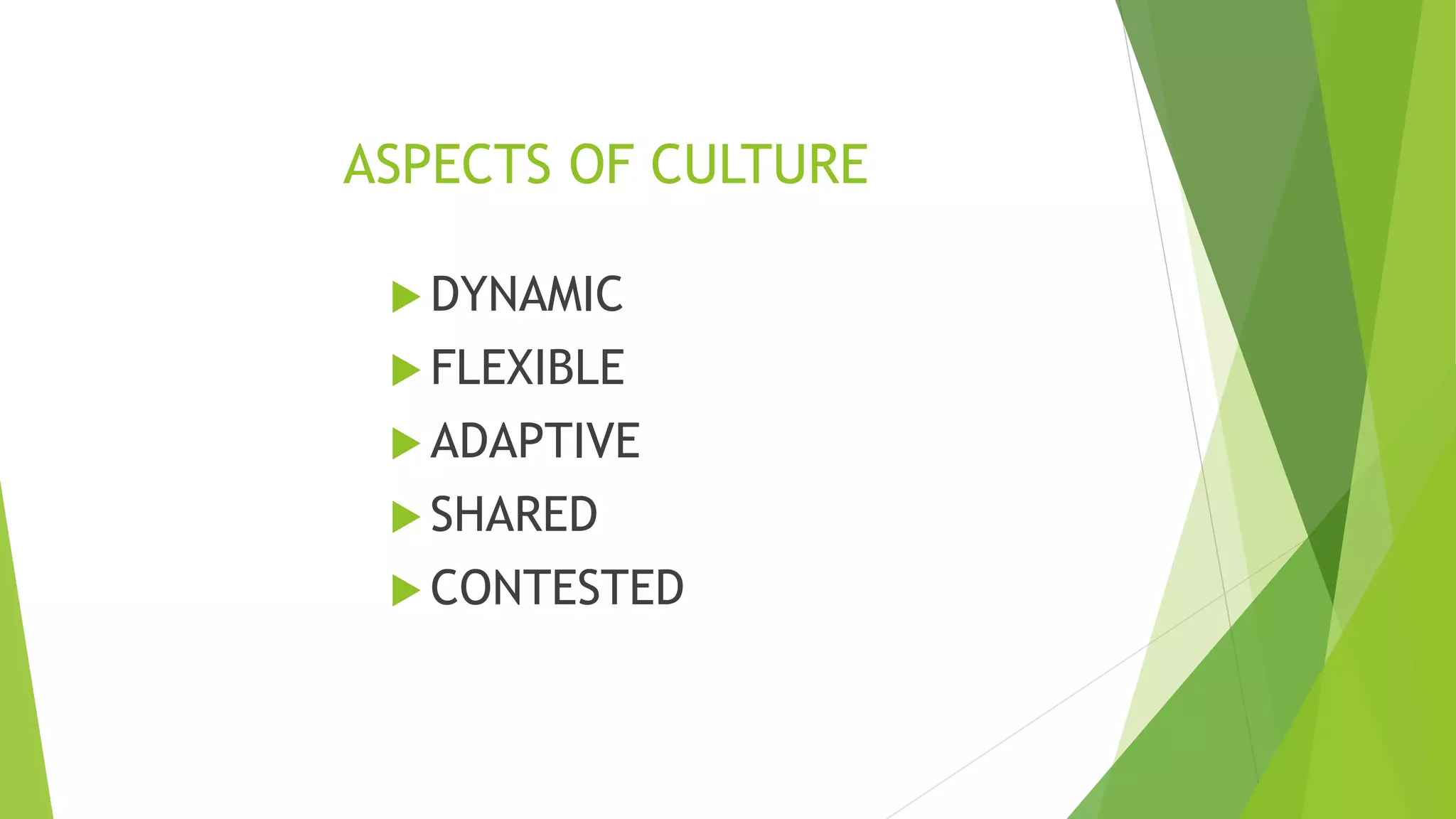 Aspects of culture ppt | PPTX