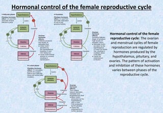 Aspects of human reproduction | PPTX