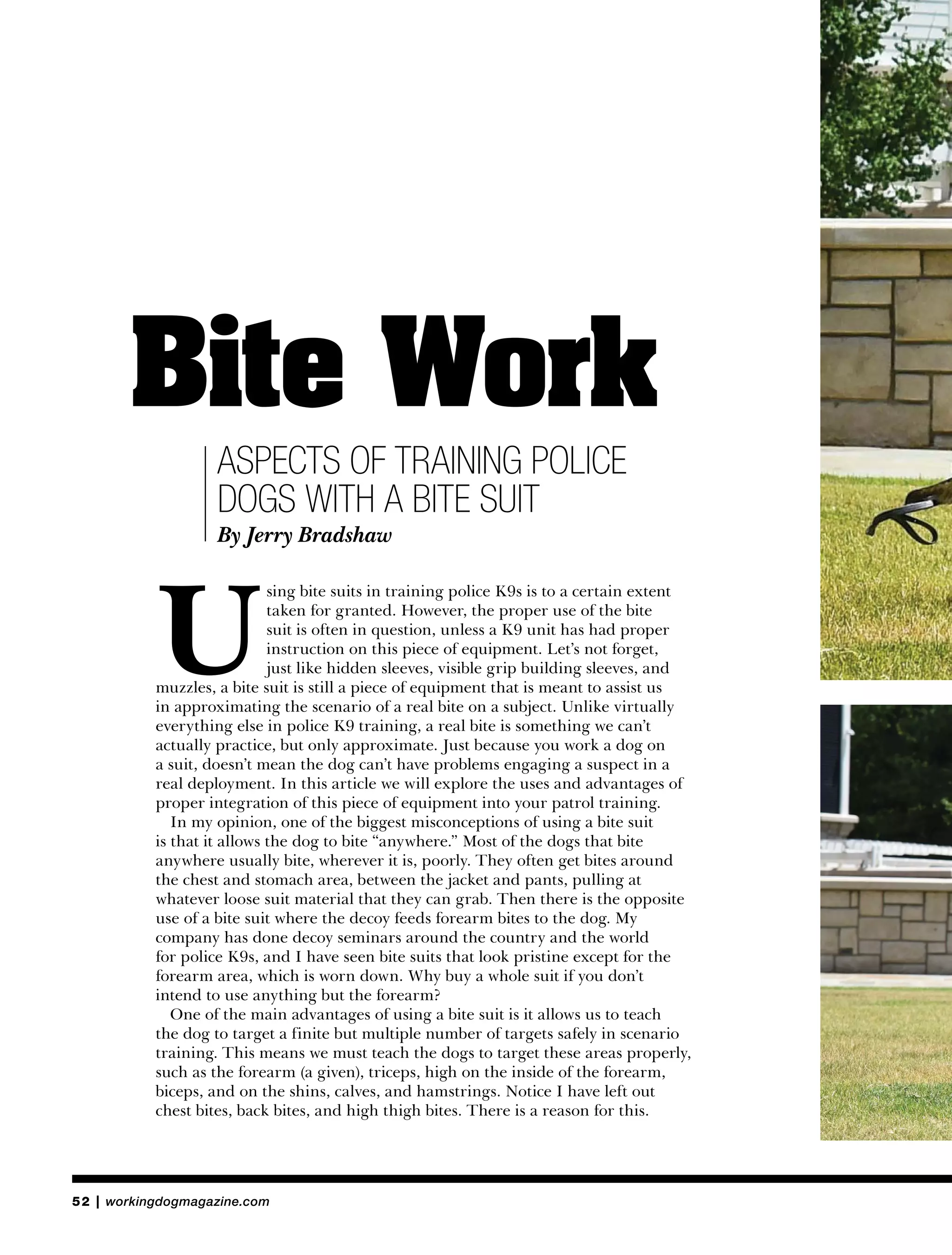 Aspects of training police dogs with a bite suit | PDF | First Aid ...