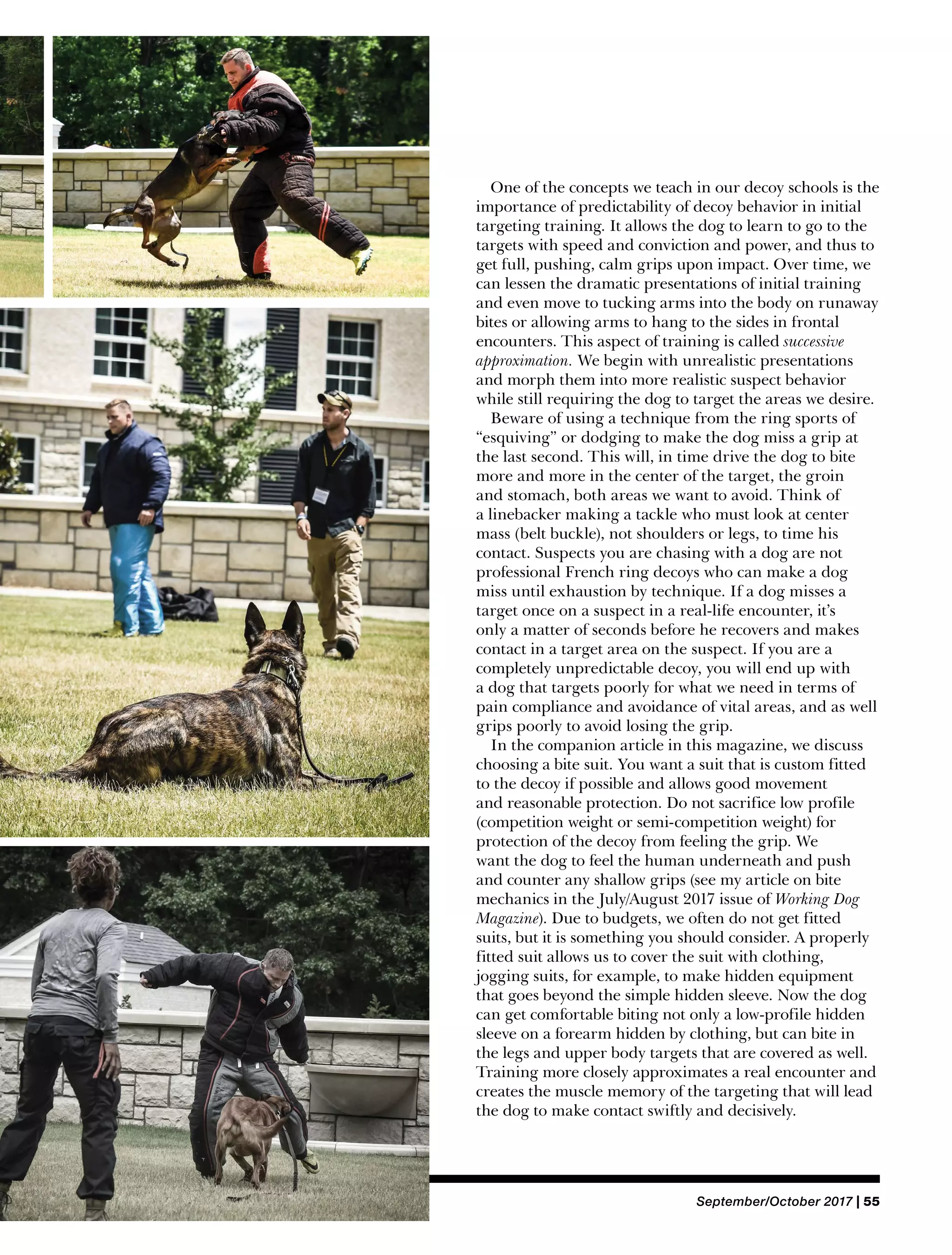 Aspects of training police dogs with a bite suit | PDF | First Aid ...