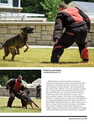 Aspects of training police dogs with a bite suit | PDF | First Aid ...